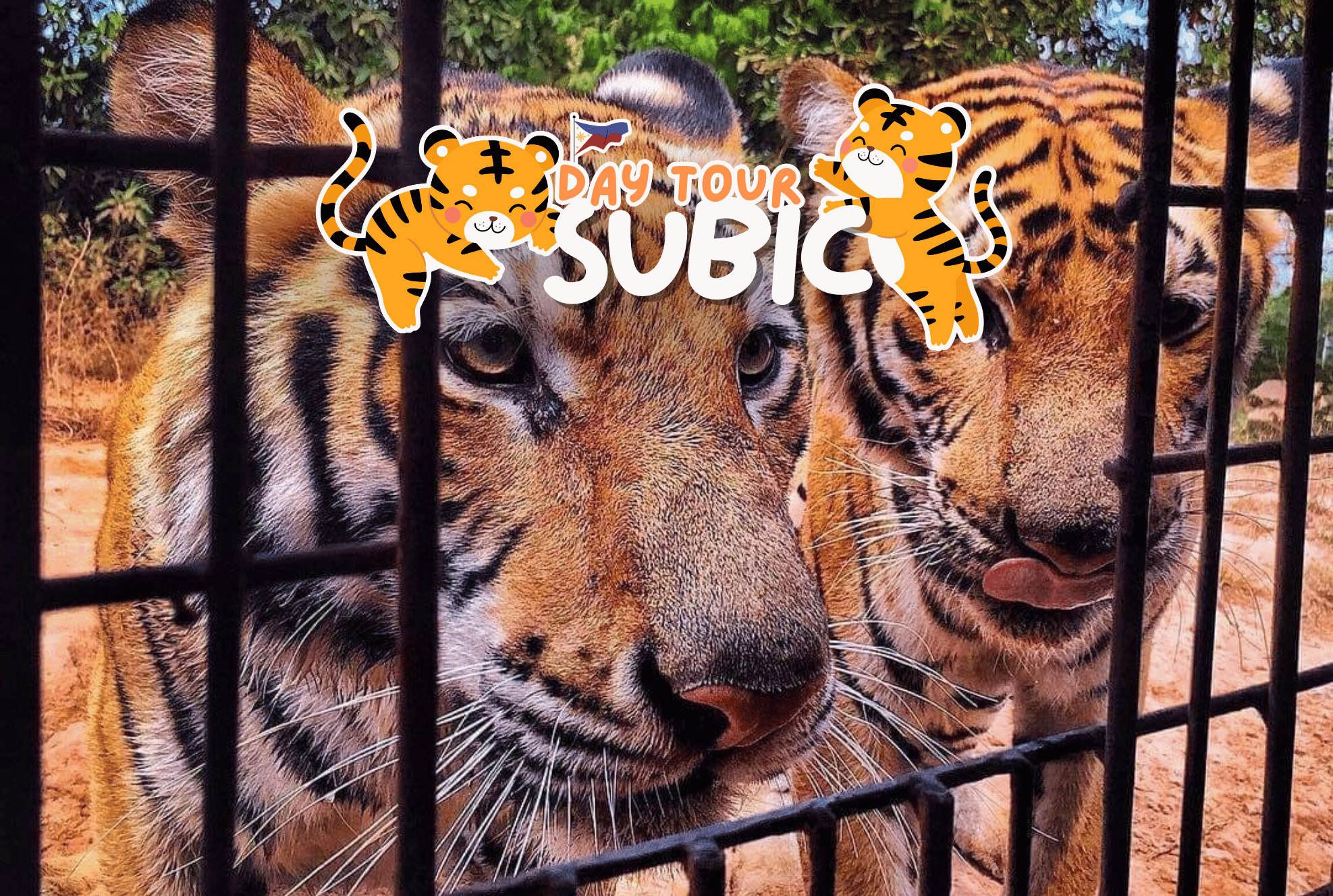 A Day in the Wild: Subic Safari Experience | GDS Travel